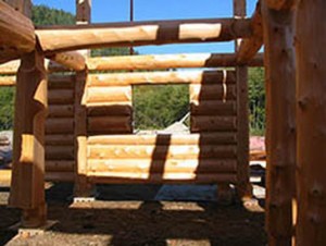 Settling for log home construction styles - RCM Cad Design Drafting Ltd.